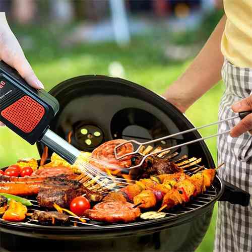 BBQ Fan Portable Cooking Air Blower Best Price Sri Lanka - ido.lk