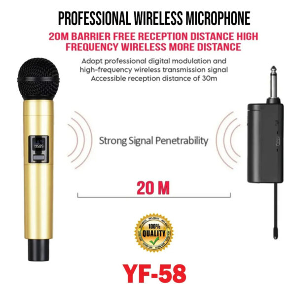 Wireless Rechargeable Dual Mic Handheld Microphone - ido.lk