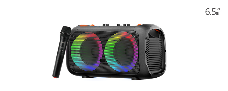 Brodu BTS-1709 Bluetooth Karaoke Speaker | Party Speaker - ido.lk