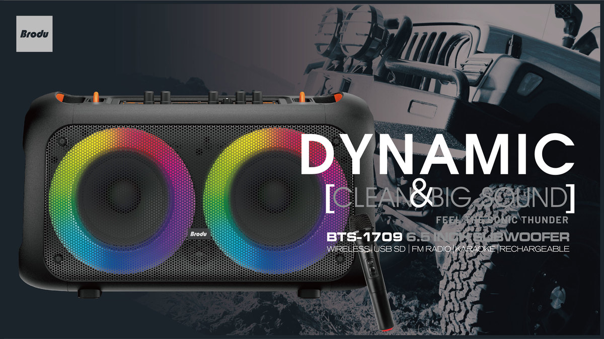 Brodu BTS-1709 Bluetooth Karaoke Speaker | Party Speaker - ido.lk
