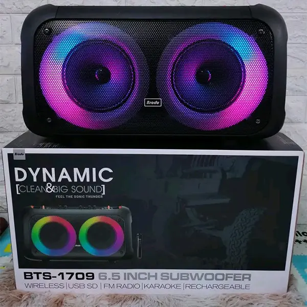 Brodu BTS-1709 Bluetooth Karaoke Speaker | Party Speaker - ido.lk