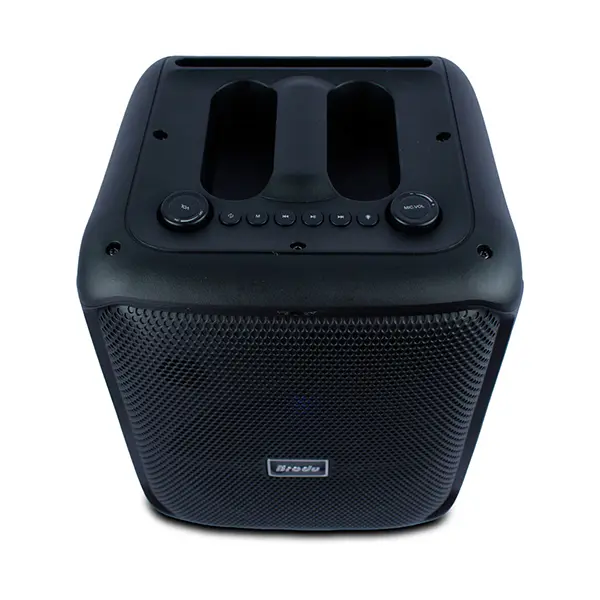 Brodu BTS 1740 karaoke Bluetooth Speaker - ido.lk