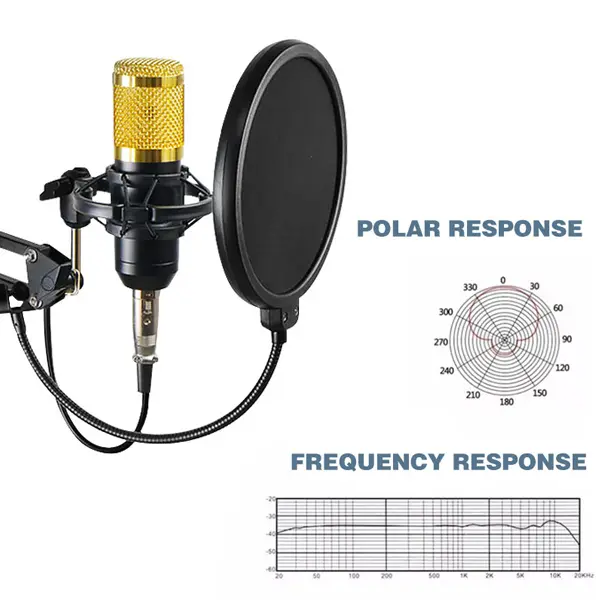 V9 Sound Card with Condenser Mic The Future of Audio Recording - ido.lk